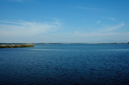 Yagachi Dam Near Belur | PAYANIGA